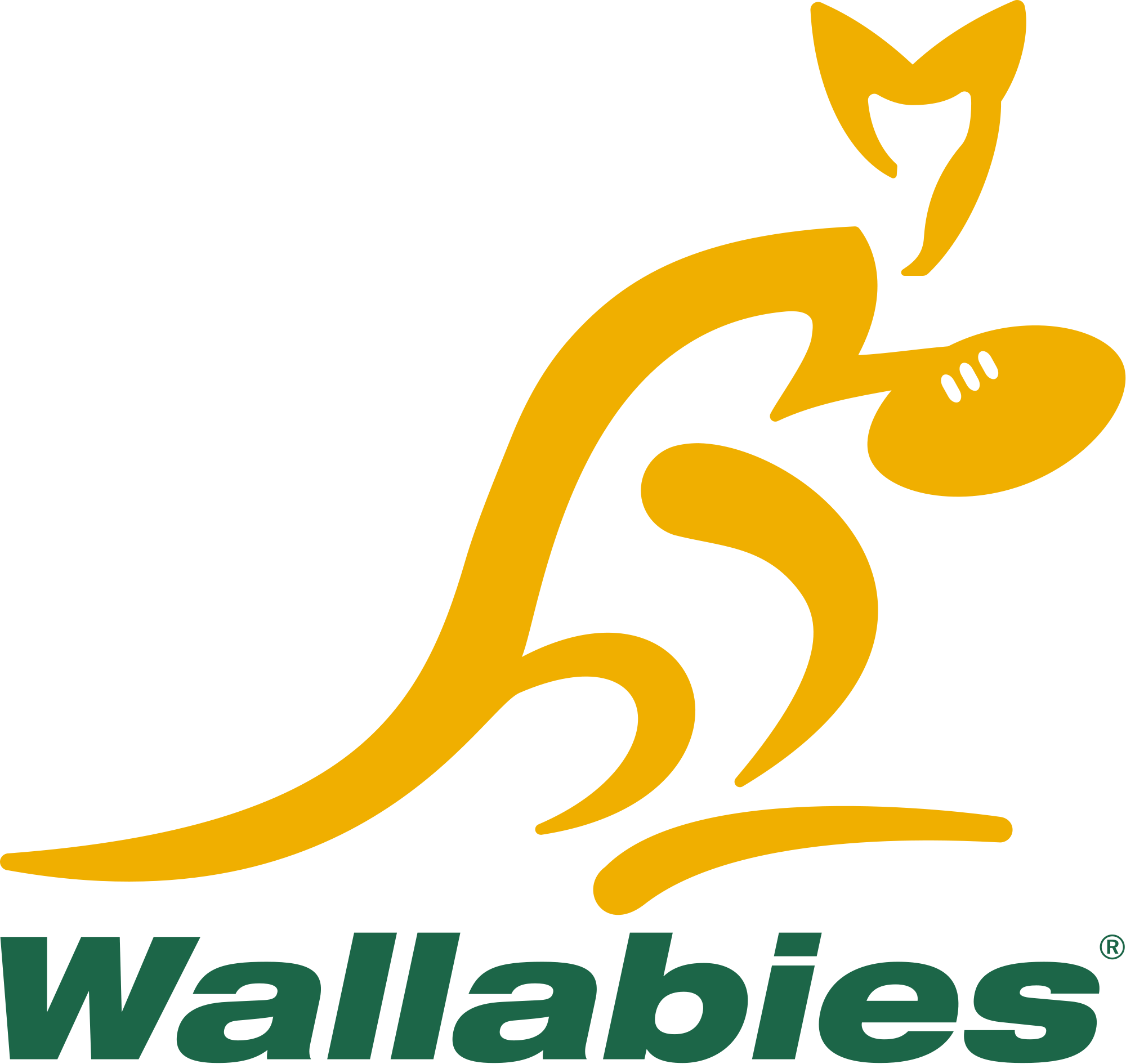 Wallabies Wallpapers - Wallpaper Cave