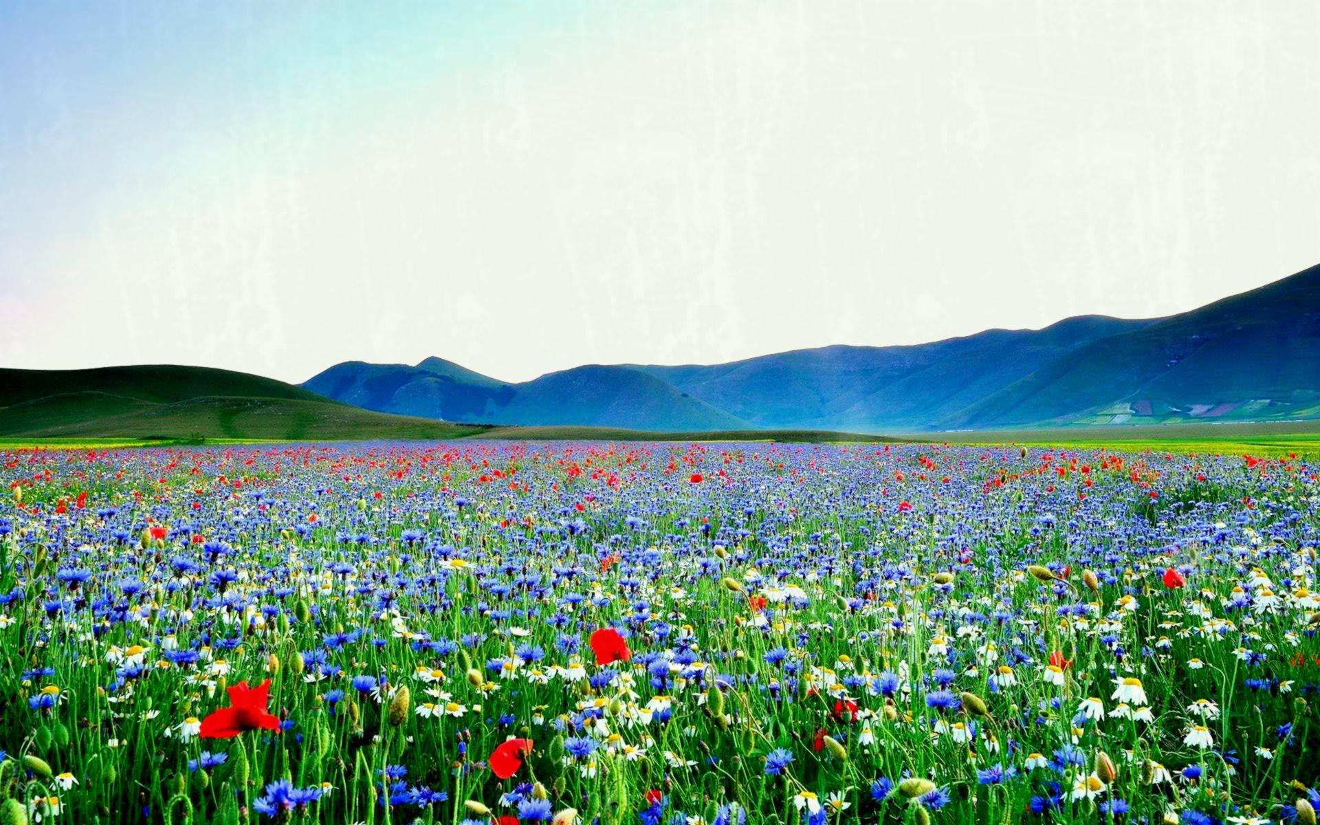 Fun Landscape Wallpapers - Wallpaper Cave