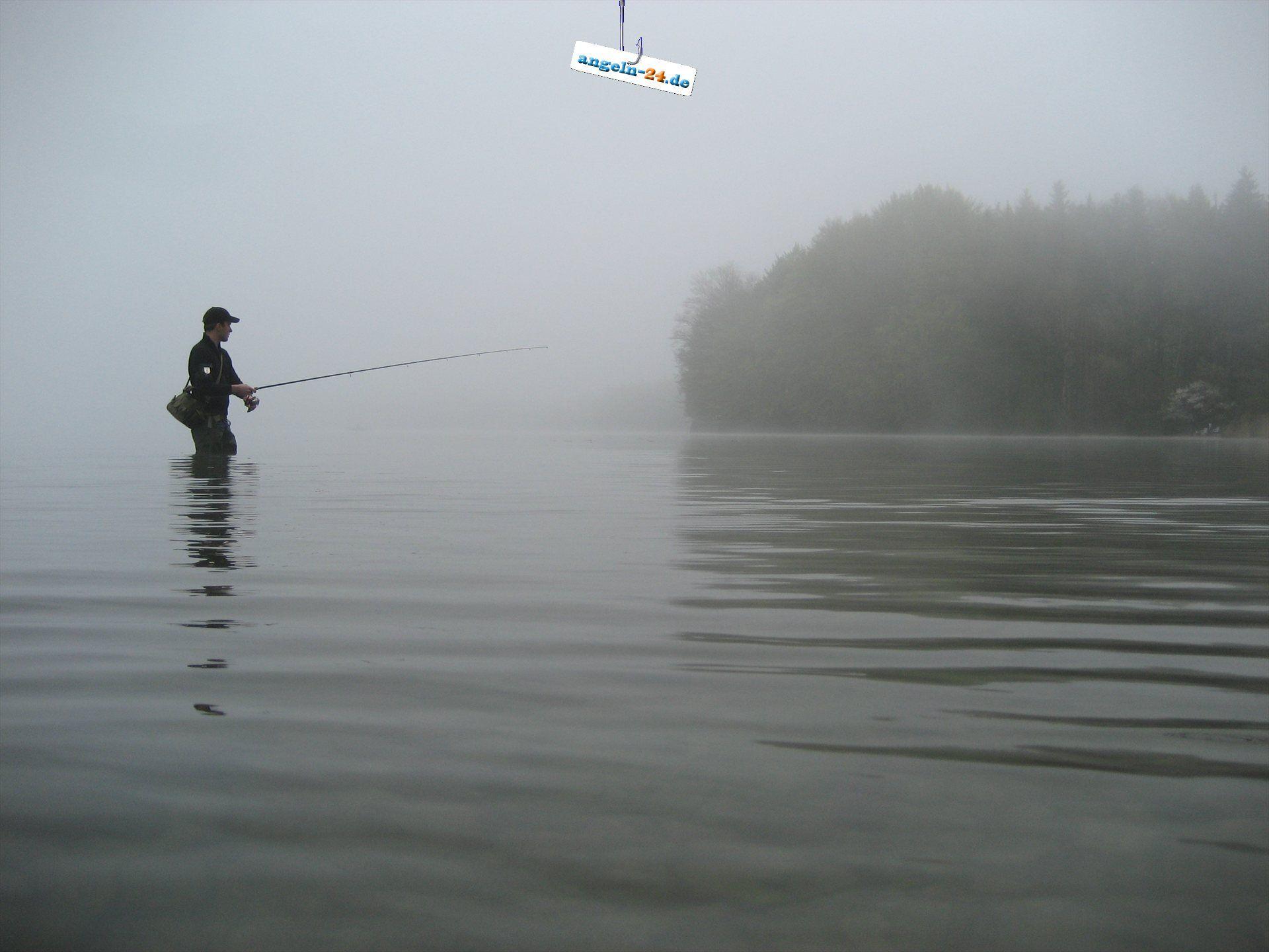 Angeln Wallpapers - Wallpaper Cave