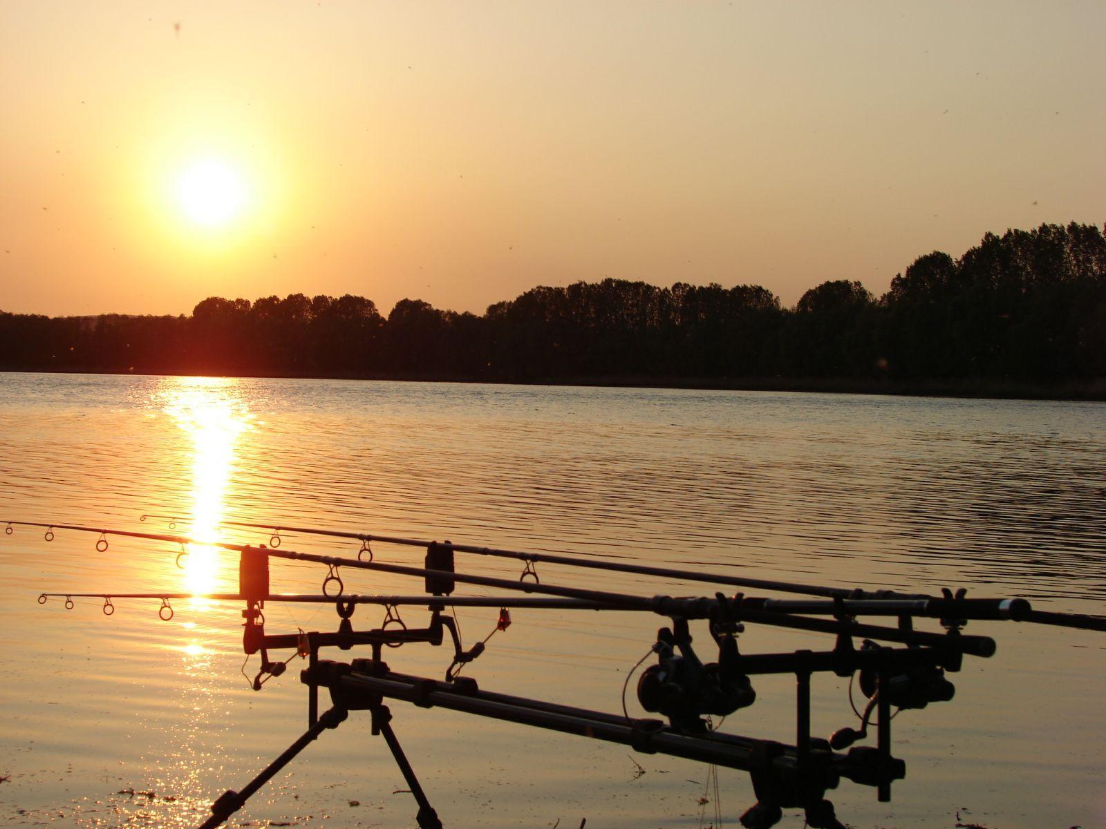 Angeln Wallpapers - Wallpaper Cave