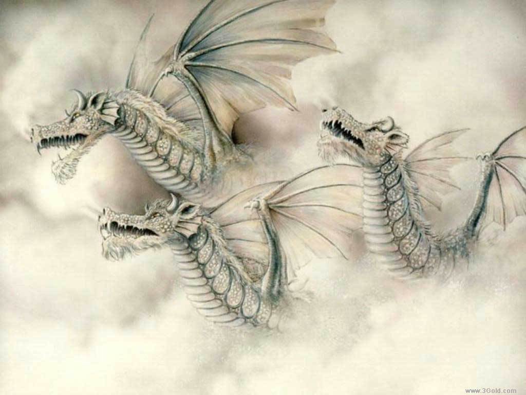 HD White Dragon Wallpapers - Wallpaper Cave