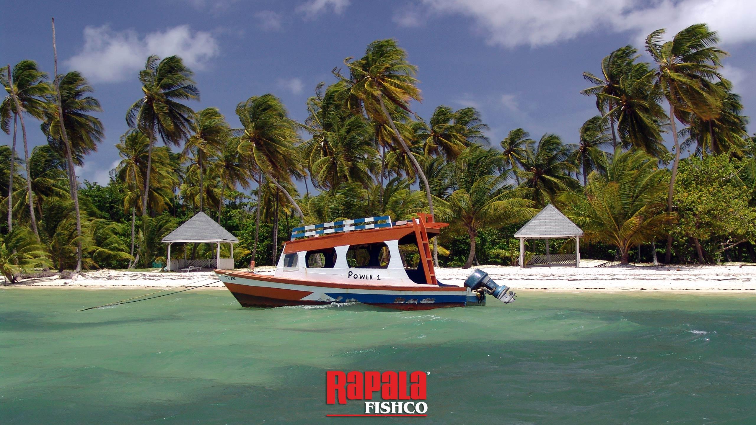 Rapala Wallpapers - Wallpaper Cave