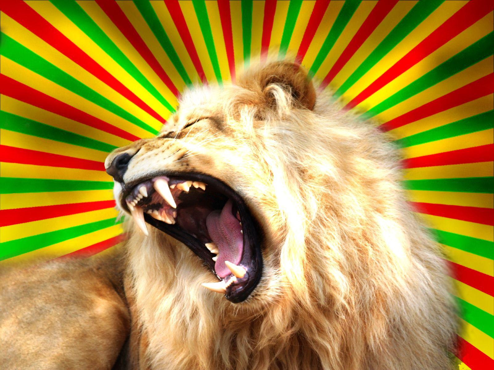 Lion Rasta Wallpapers - Wallpaper Cave