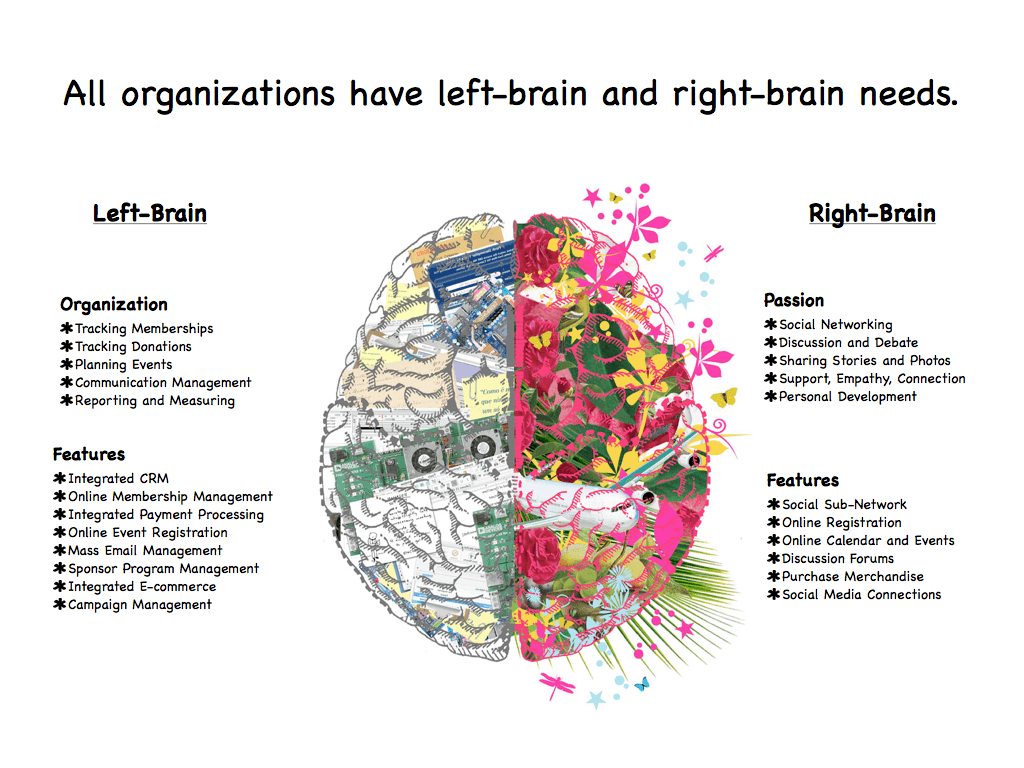 Left Brain Wallpapers - Wallpaper Cave