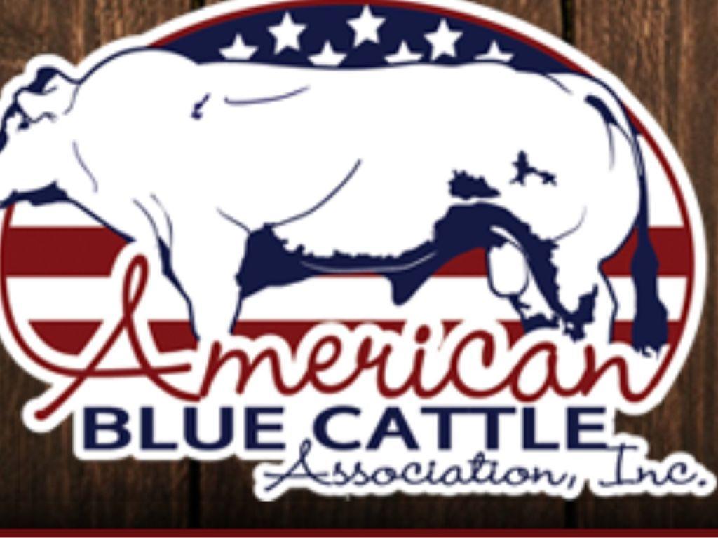 Blue Bulls Wallpapers - Wallpaper Cave