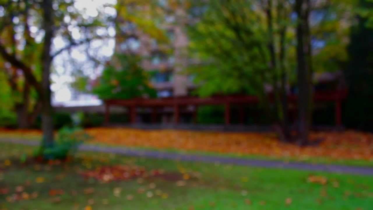 Park Backgrounds - Wallpaper Cave