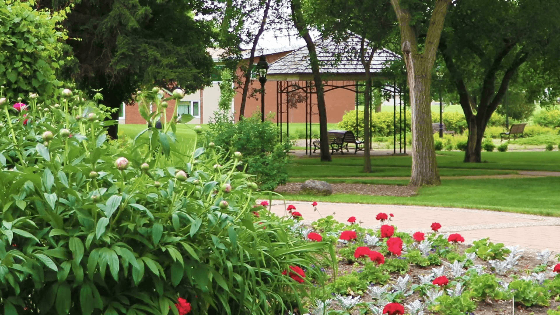 Park Backgrounds - Wallpaper Cave