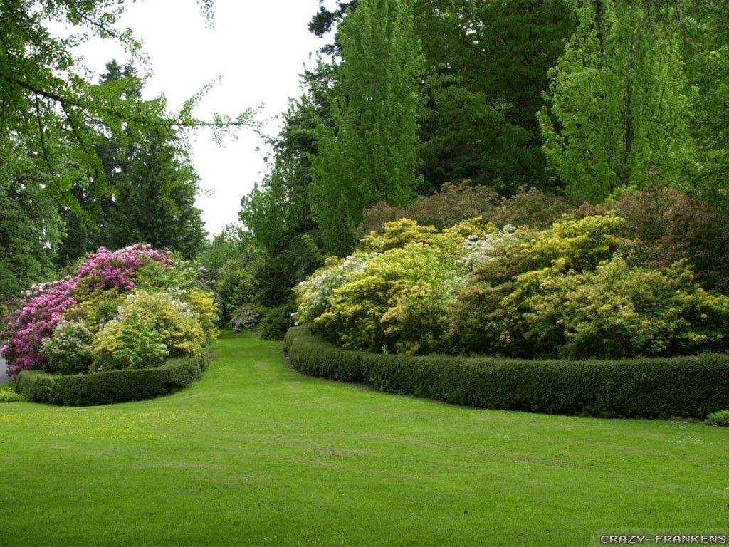 Park Backgrounds - Wallpaper Cave