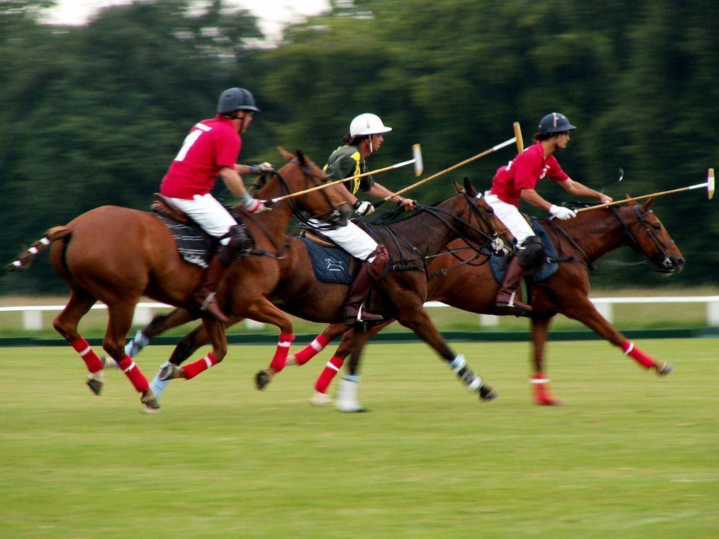 Horse Polo Wallpapers - Wallpaper Cave