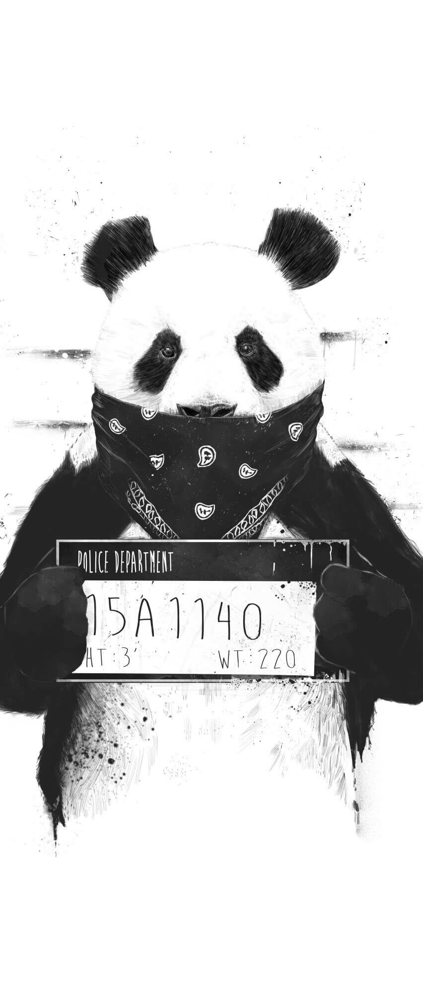 Panda Funk Wallpapers - Wallpaper Cave