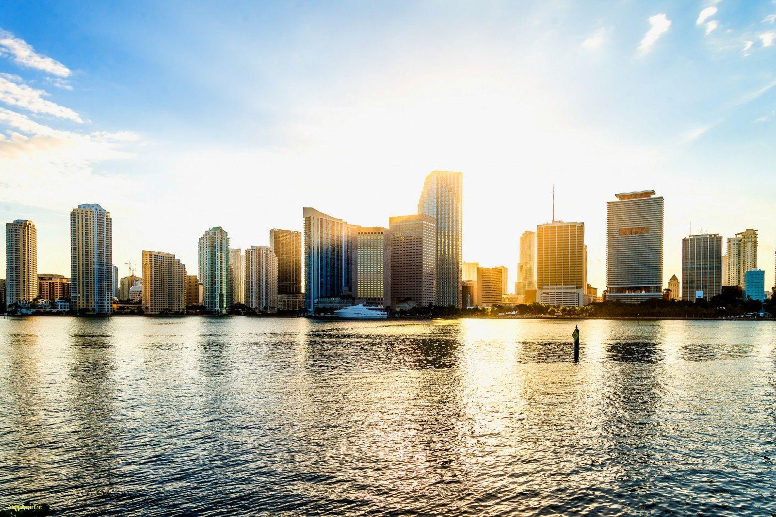 Miami Skyline HD Wallpapers - Wallpaper Cave