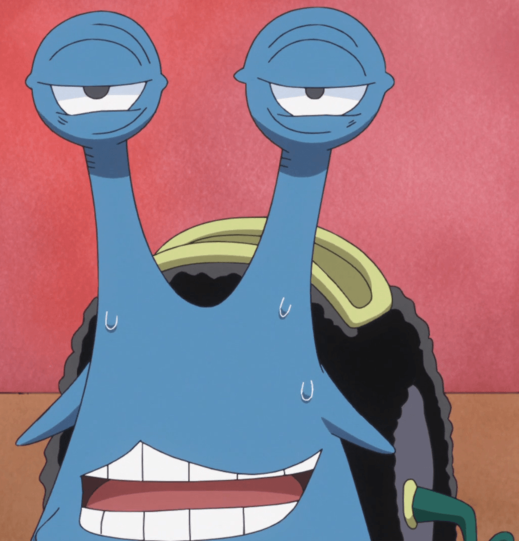 Law Den Den Mushi Wallpapers HD - Wallpaper Cave