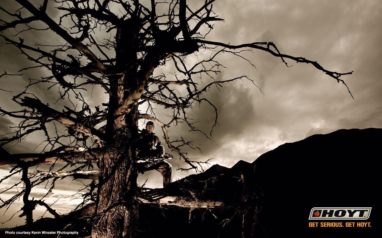 Hoyt Wallpapers - Wallpaper Cave