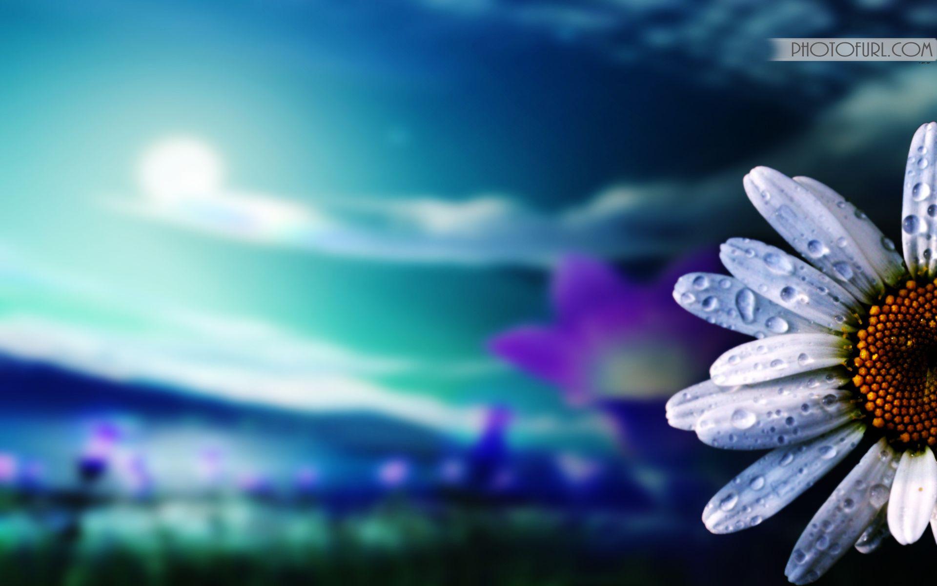 Latest Desktop Wallpapers HD - Wallpaper Cave