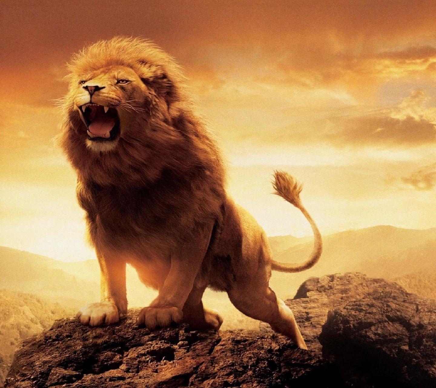 Aslan Roaring Wallpapers Wallpaper Cave