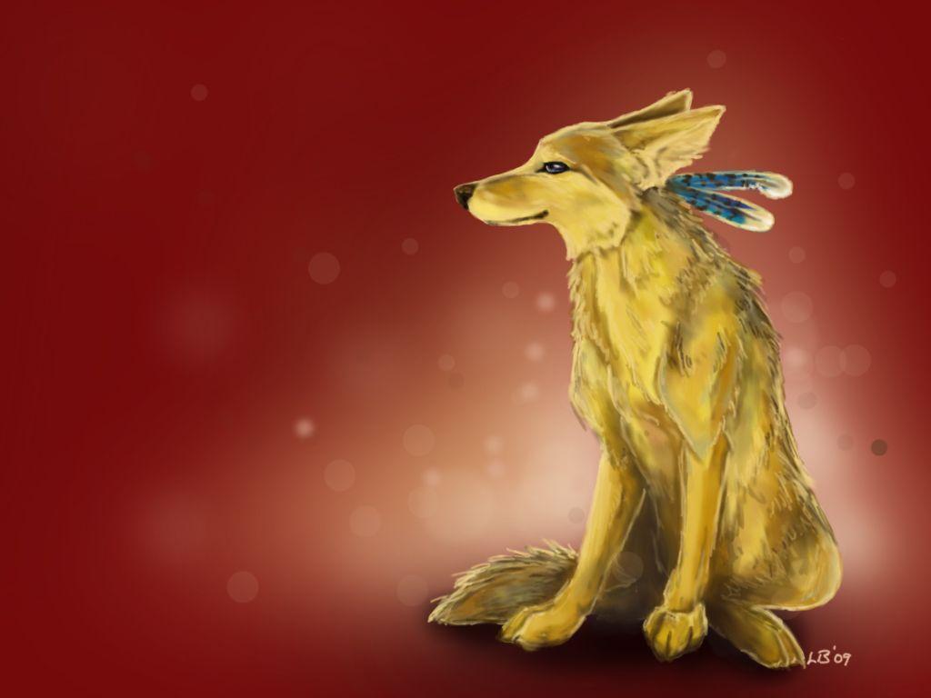 Jackal Wallpapers - Wallpaper Cave