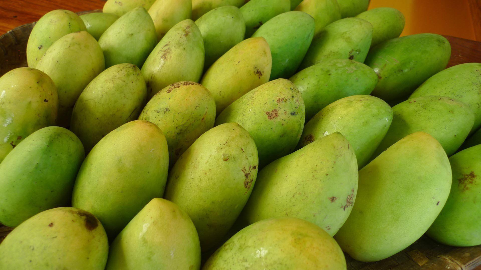 Mangoes Wallpapers - Wallpaper Cave