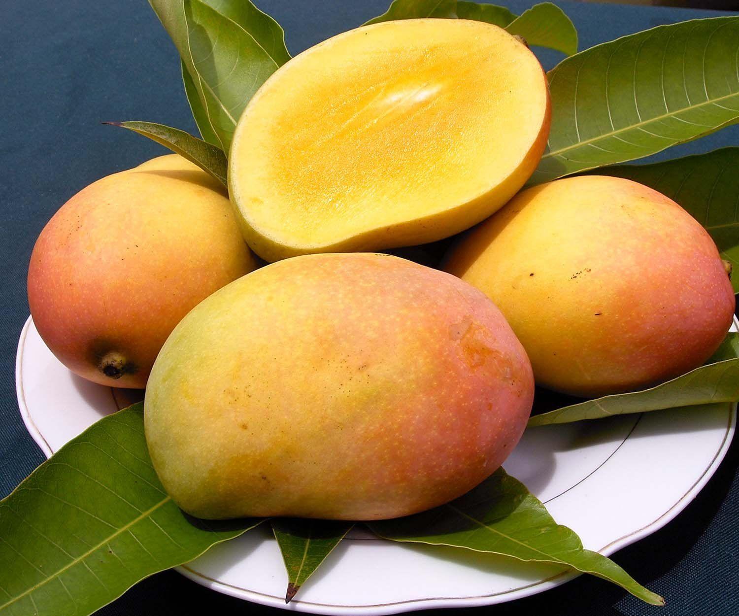 Mangoes Wallpapers - Wallpaper Cave
