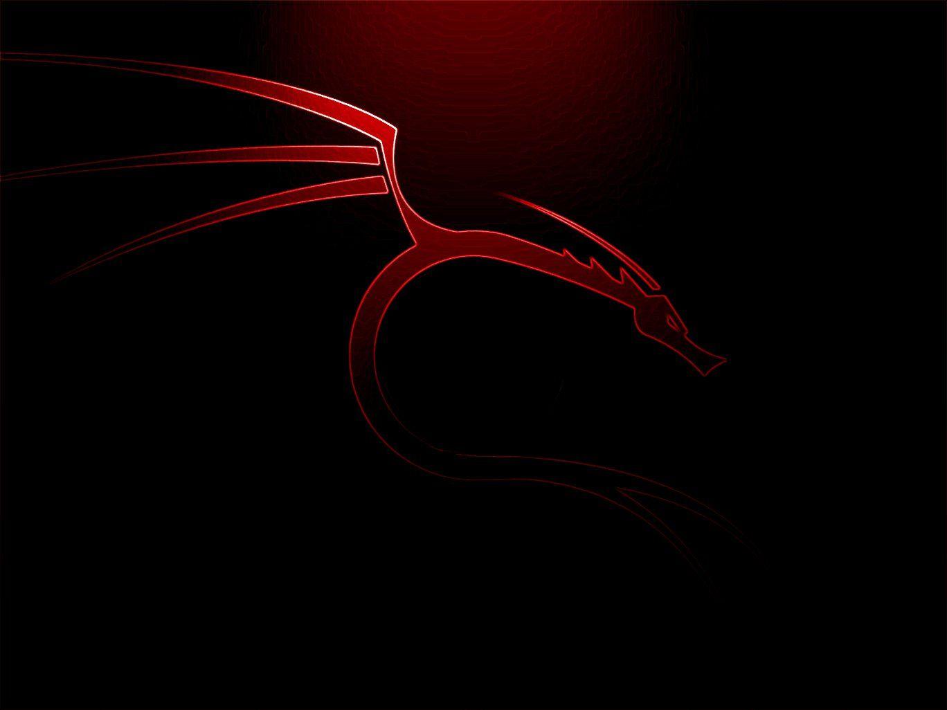 Backtrack Wallpapers HD - Wallpaper Cave