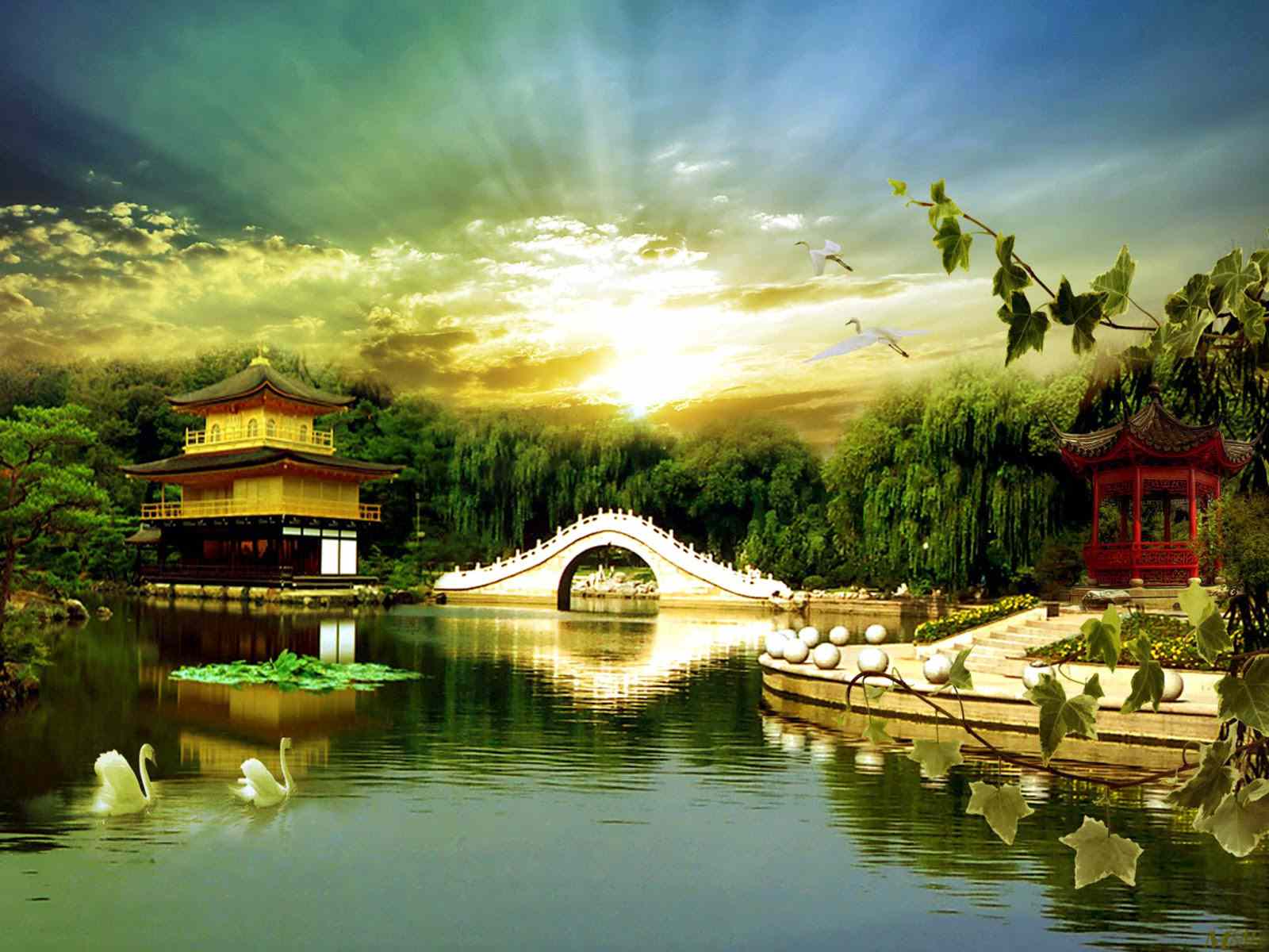 High Quality HD Wallpapers - Wallpaper Cave