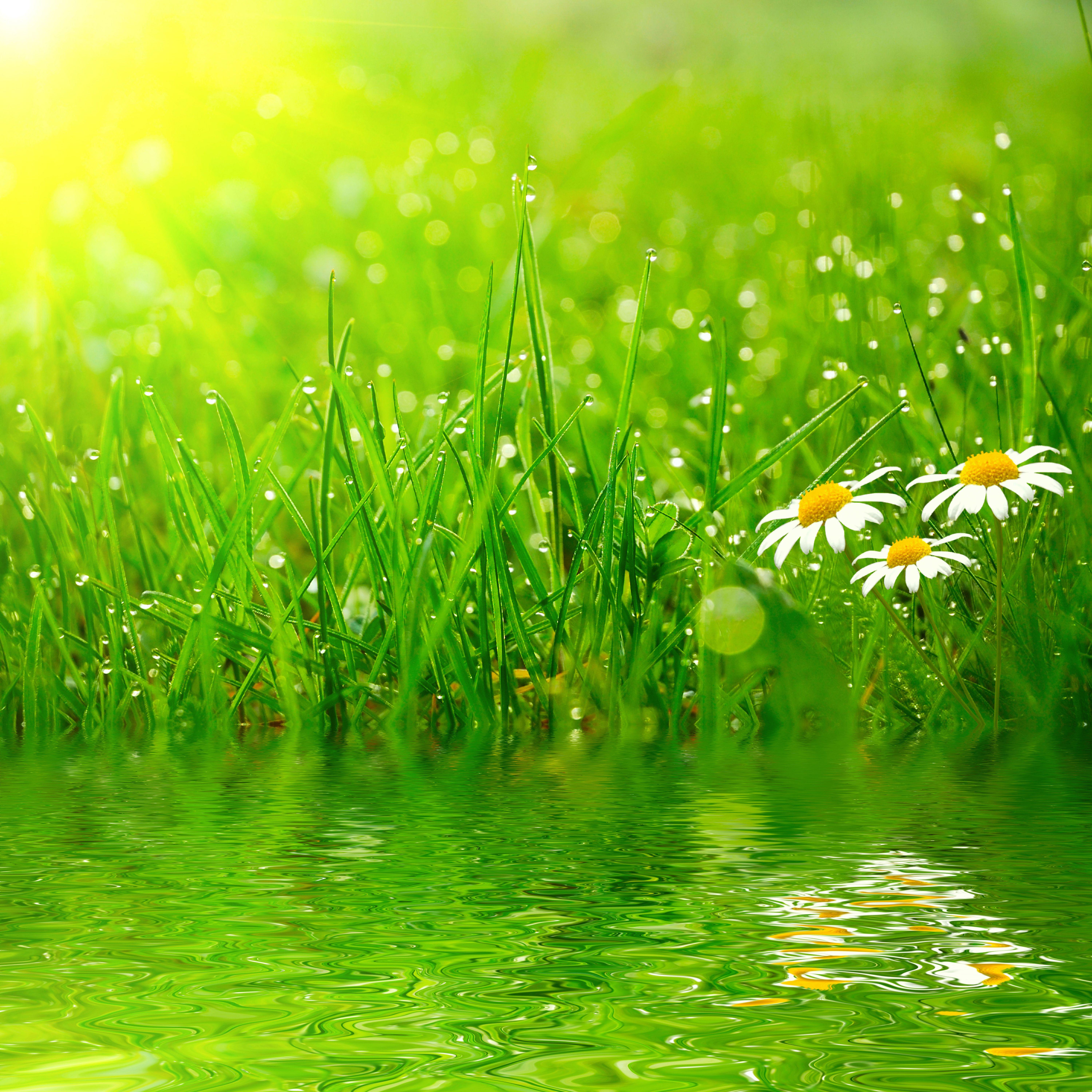 Rain Backgrounds - Wallpaper Cave