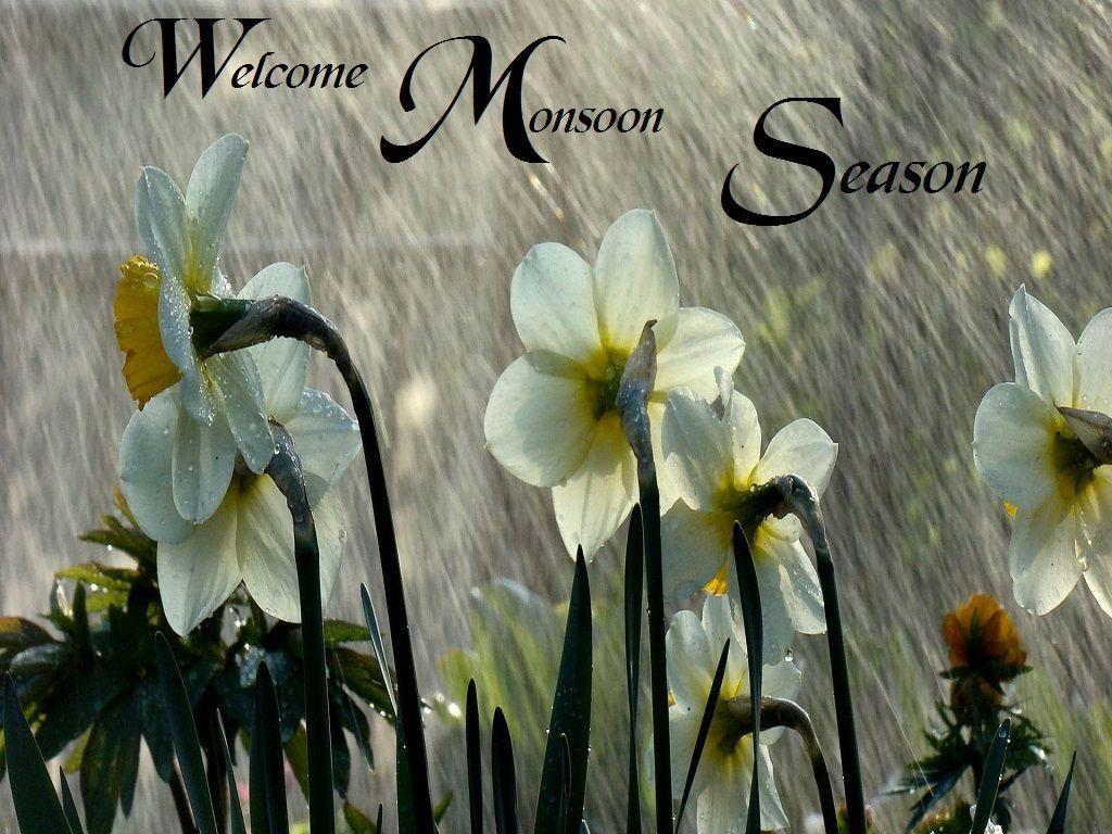 Happy Monsoon Wallpapers HD - Wallpaper Cave