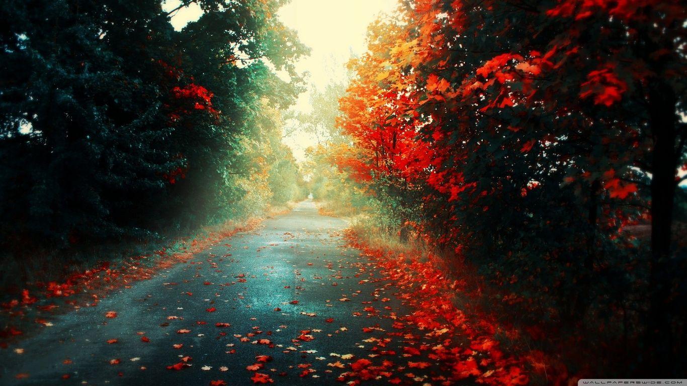 Red Wallpapers HD - Wallpaper Cave