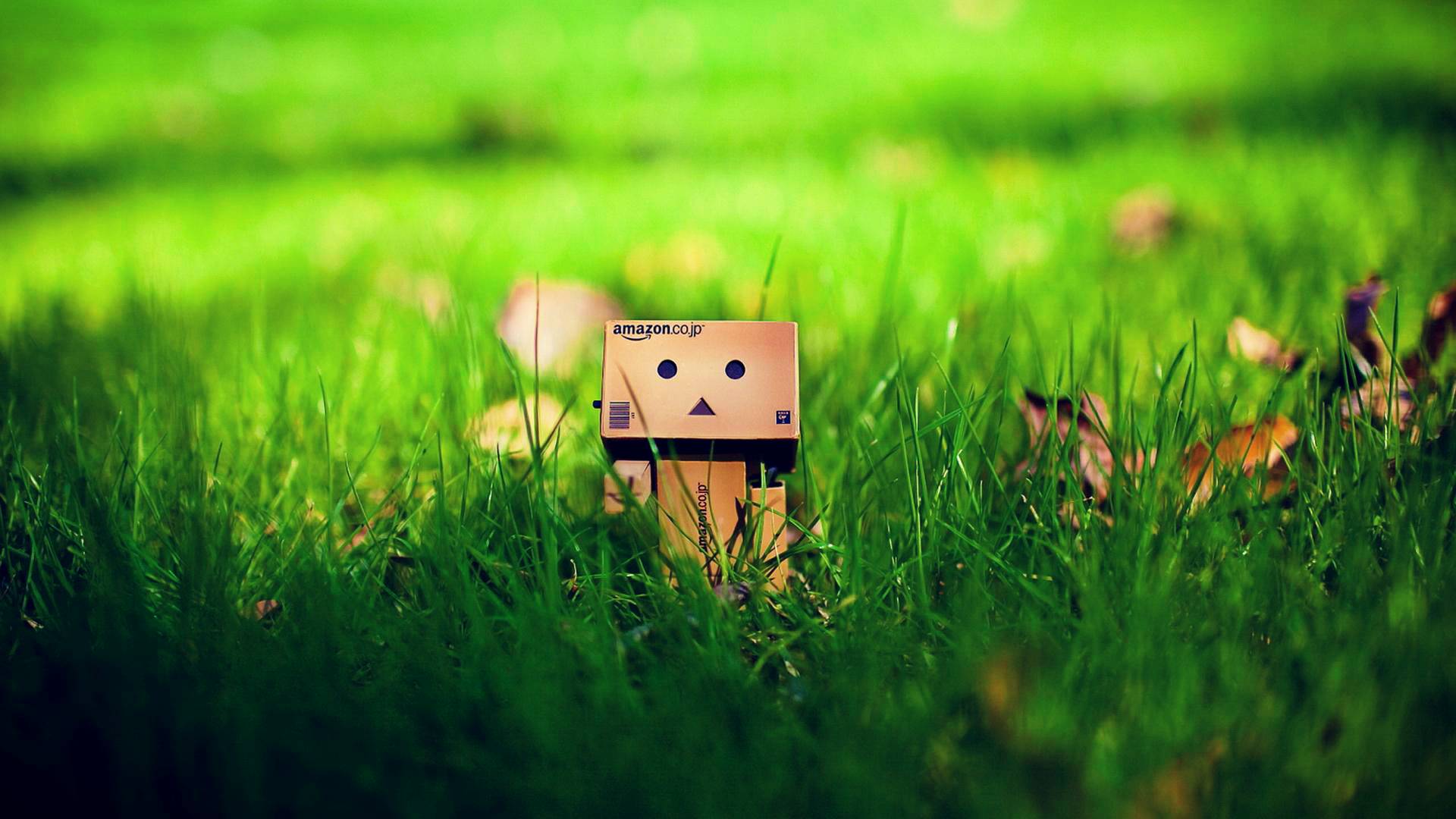 HD Danbo Wallpapers - Wallpaper Cave