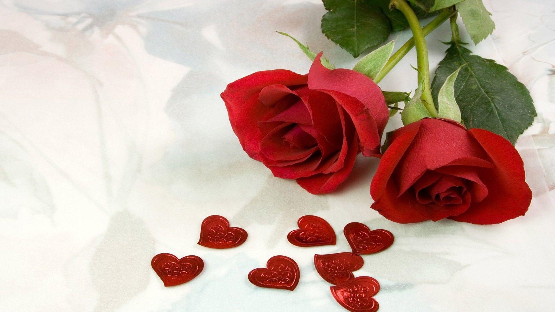 HD Red Rose Wallpapers - Wallpaper Cave