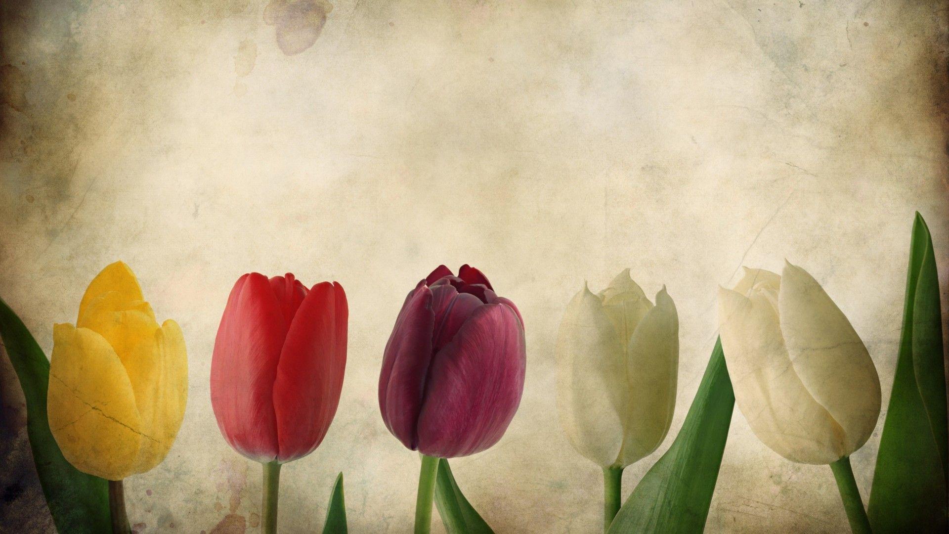 Vintage Spring Flowers Wallpapers - Wallpaper Cave