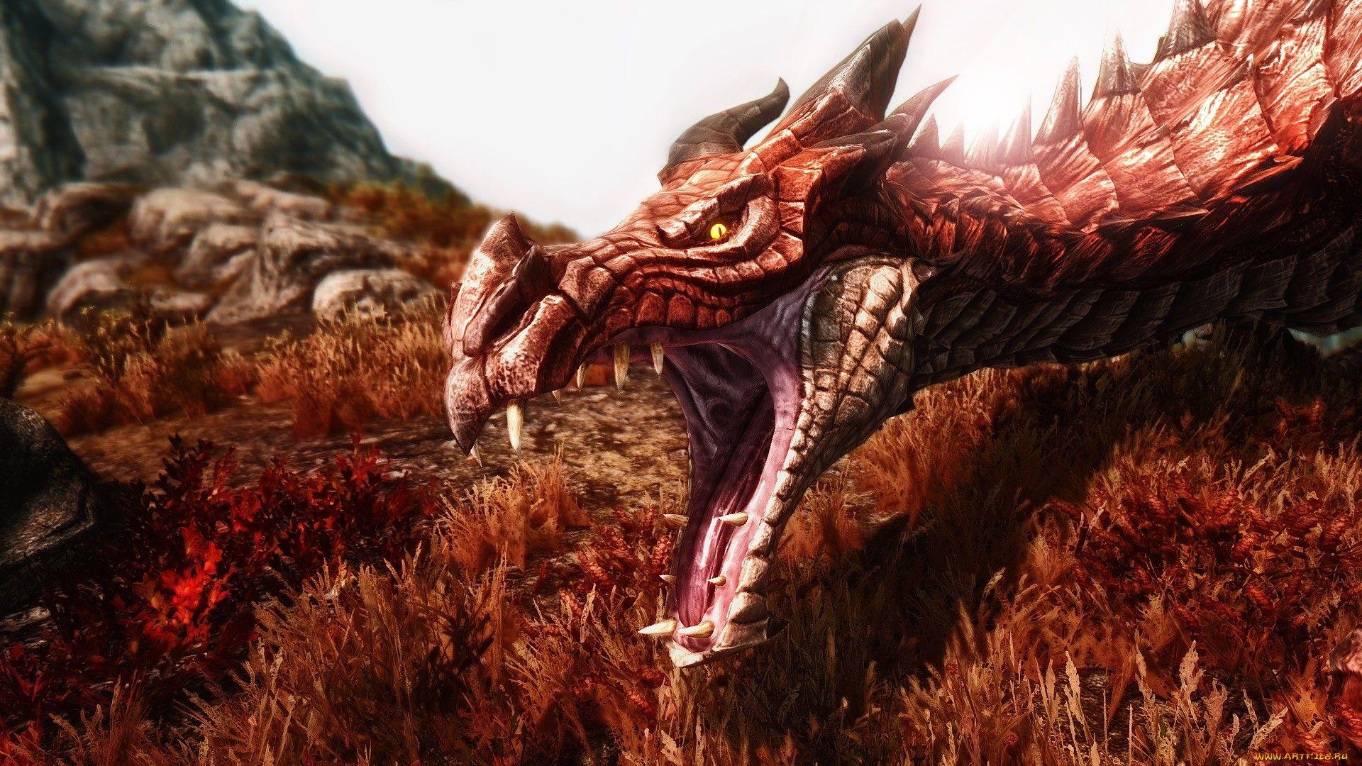 Skyrim Red Dragon Wallpapers - Wallpaper Cave