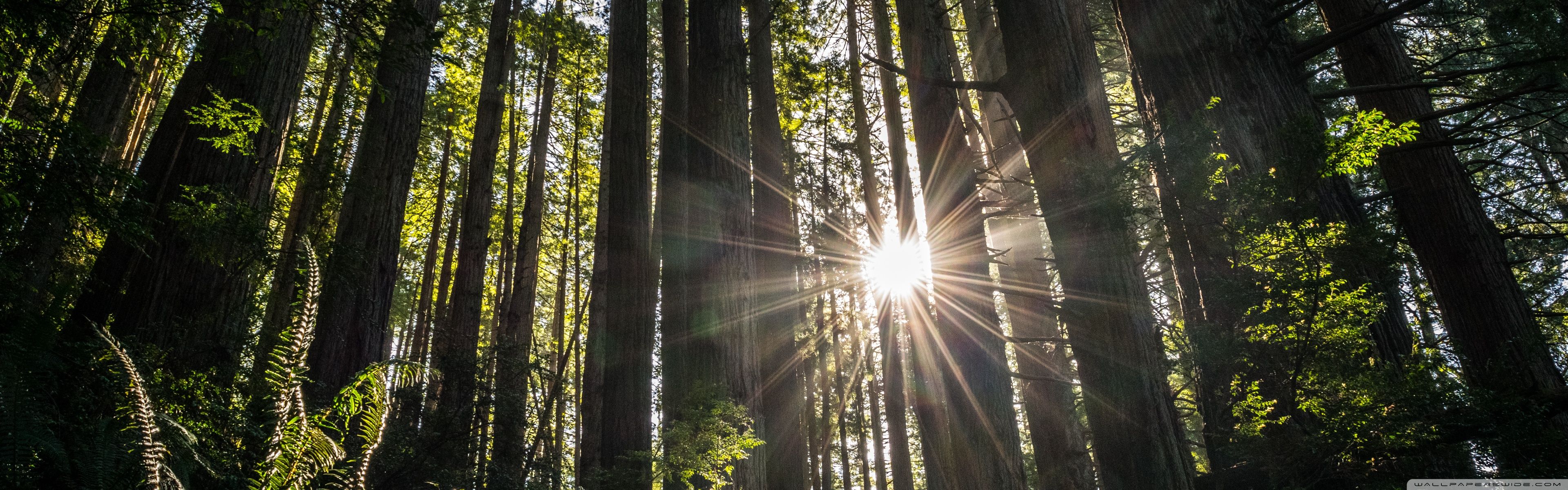 Wallpapers Wide - Wallpaper Cave