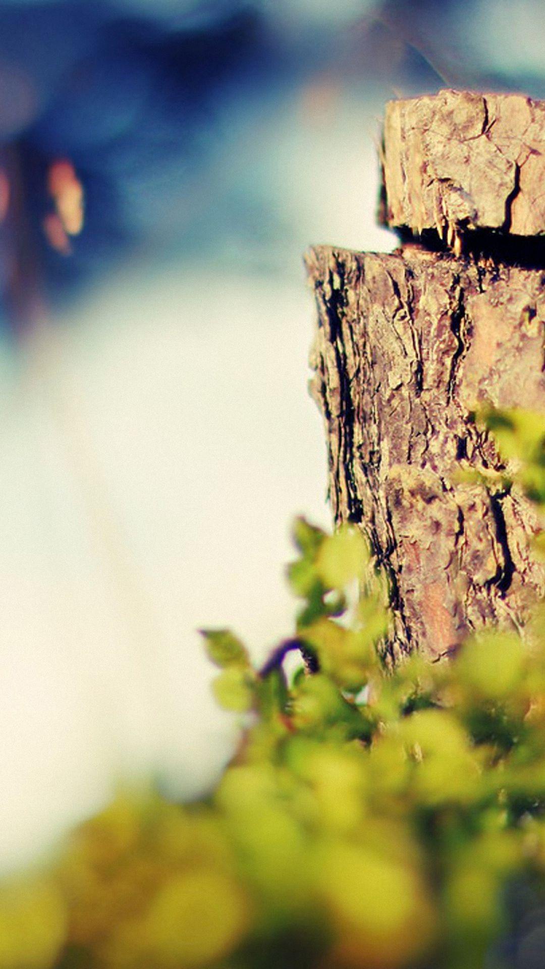 Samsung Galaxy Mobile Wallpapers HD - Wallpaper Cave