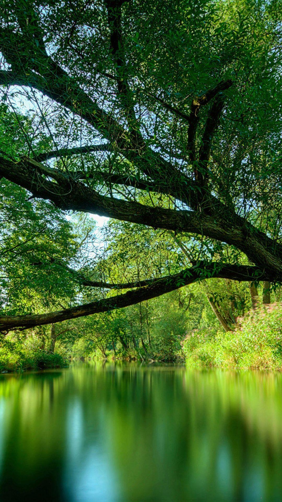 Desktop Natural Wallpapers - Wallpaper Cave