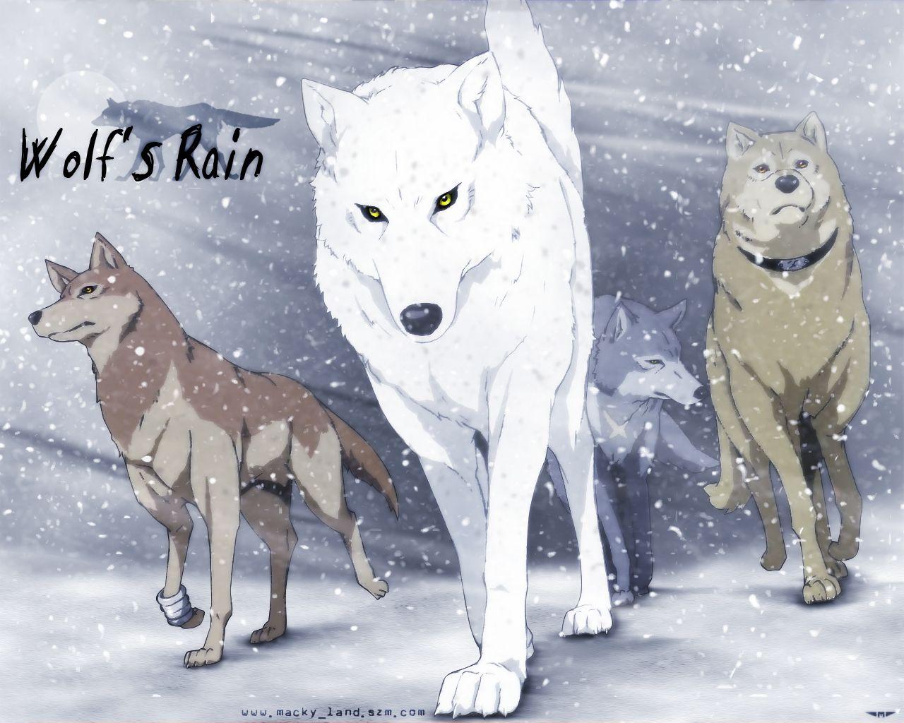 Wolf Rain HD Wallpapers - Wallpaper Cave