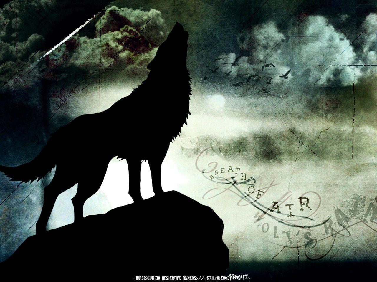 Wolf Rain HD Wallpapers - Wallpaper Cave