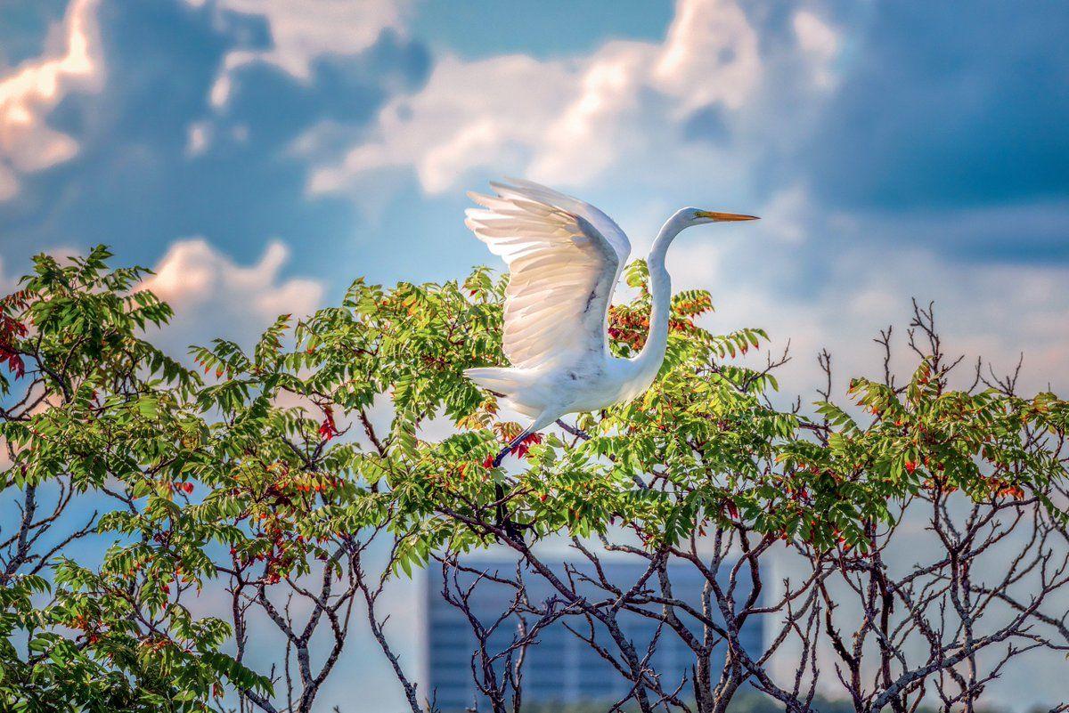 Sun Twitter Backgrounds - Wallpaper Cave