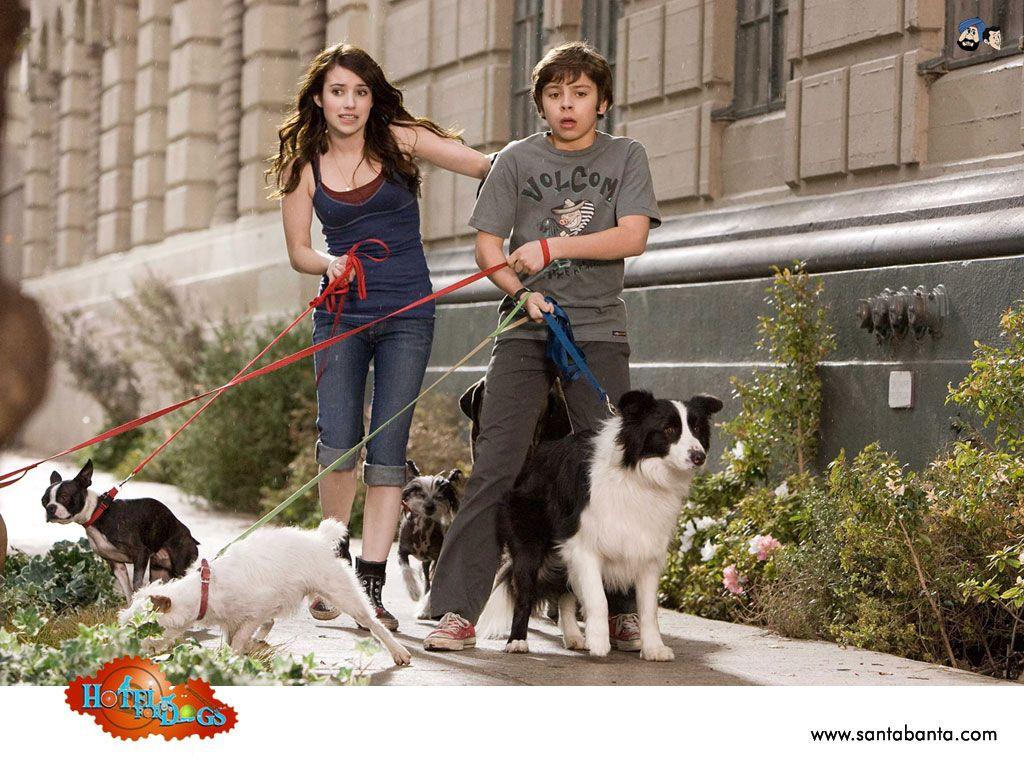 Hotel For Dogs Movie Wallpapers - Wallpaper Cave