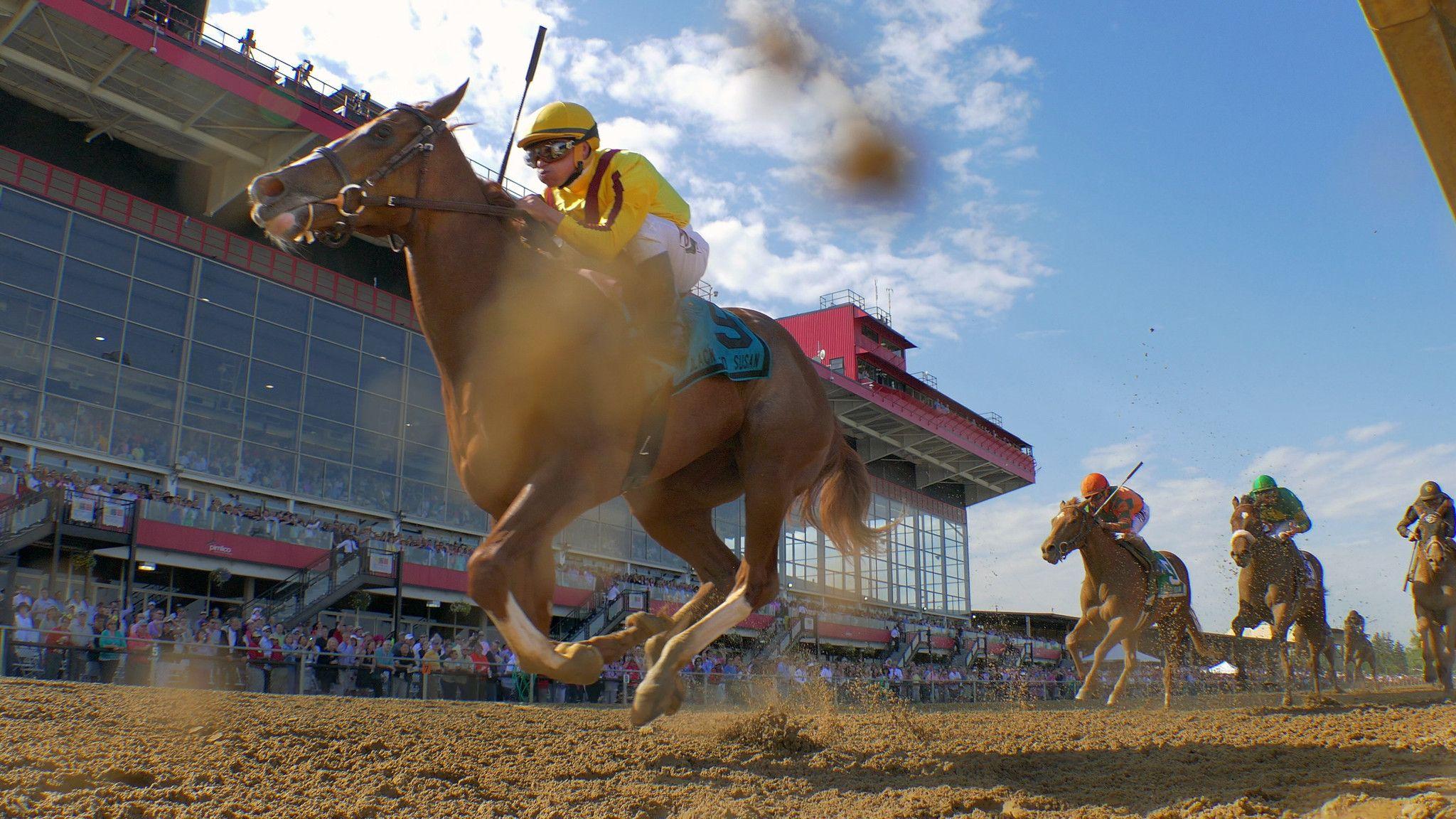 Preakness 2018 Wallpapers - Wallpaper Cave