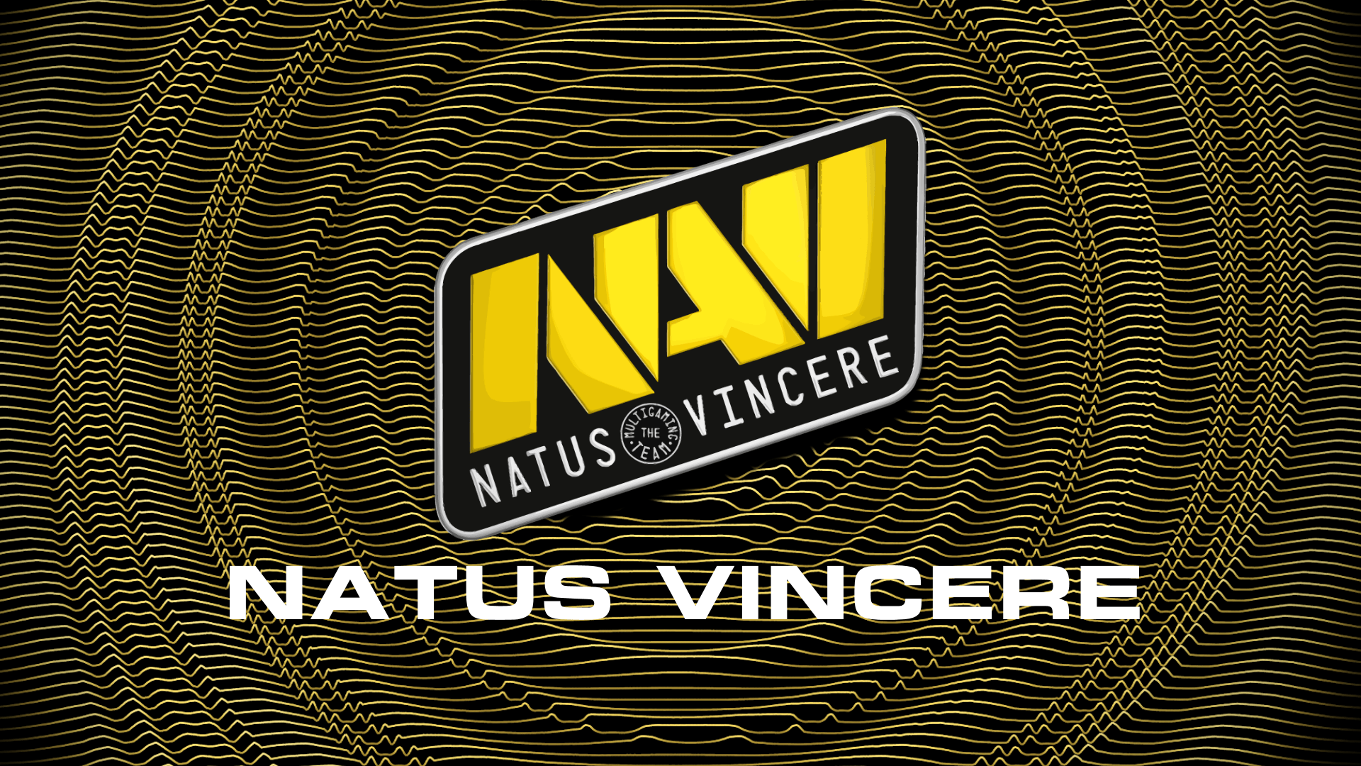 Natus Vincere Wallpapers - Wallpaper Cave