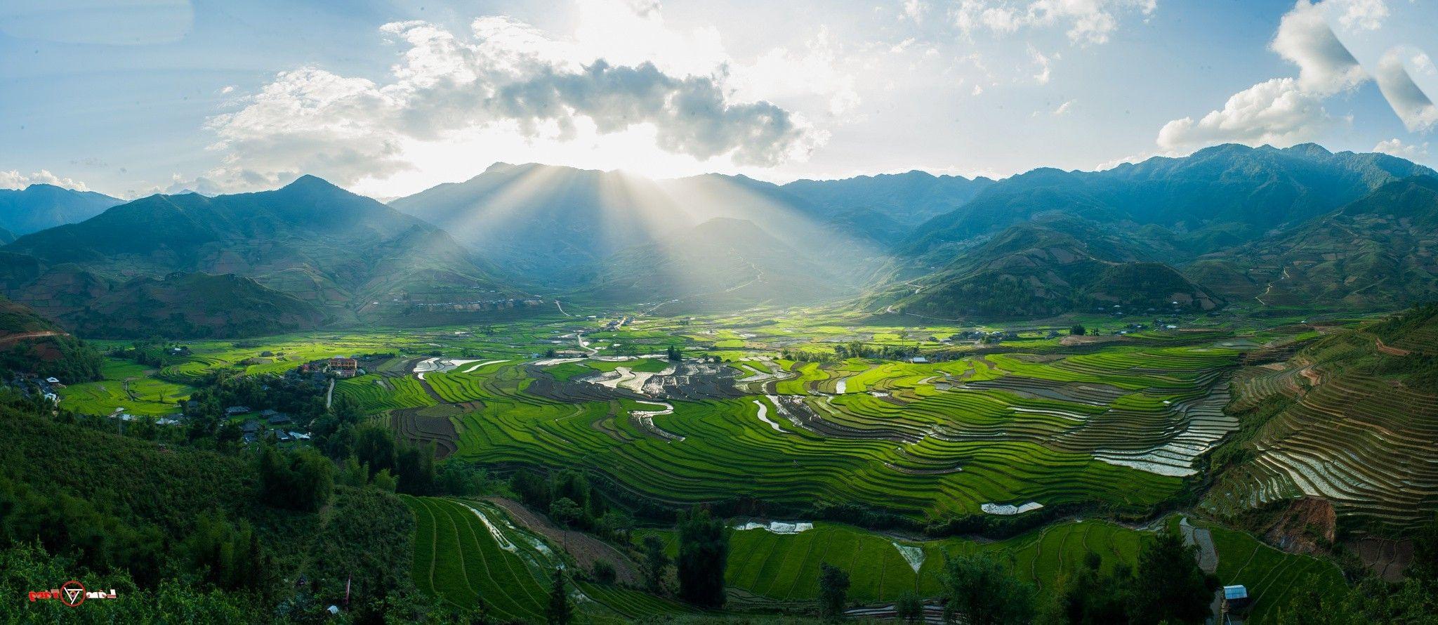 Paddy Wallpapers - Wallpaper Cave