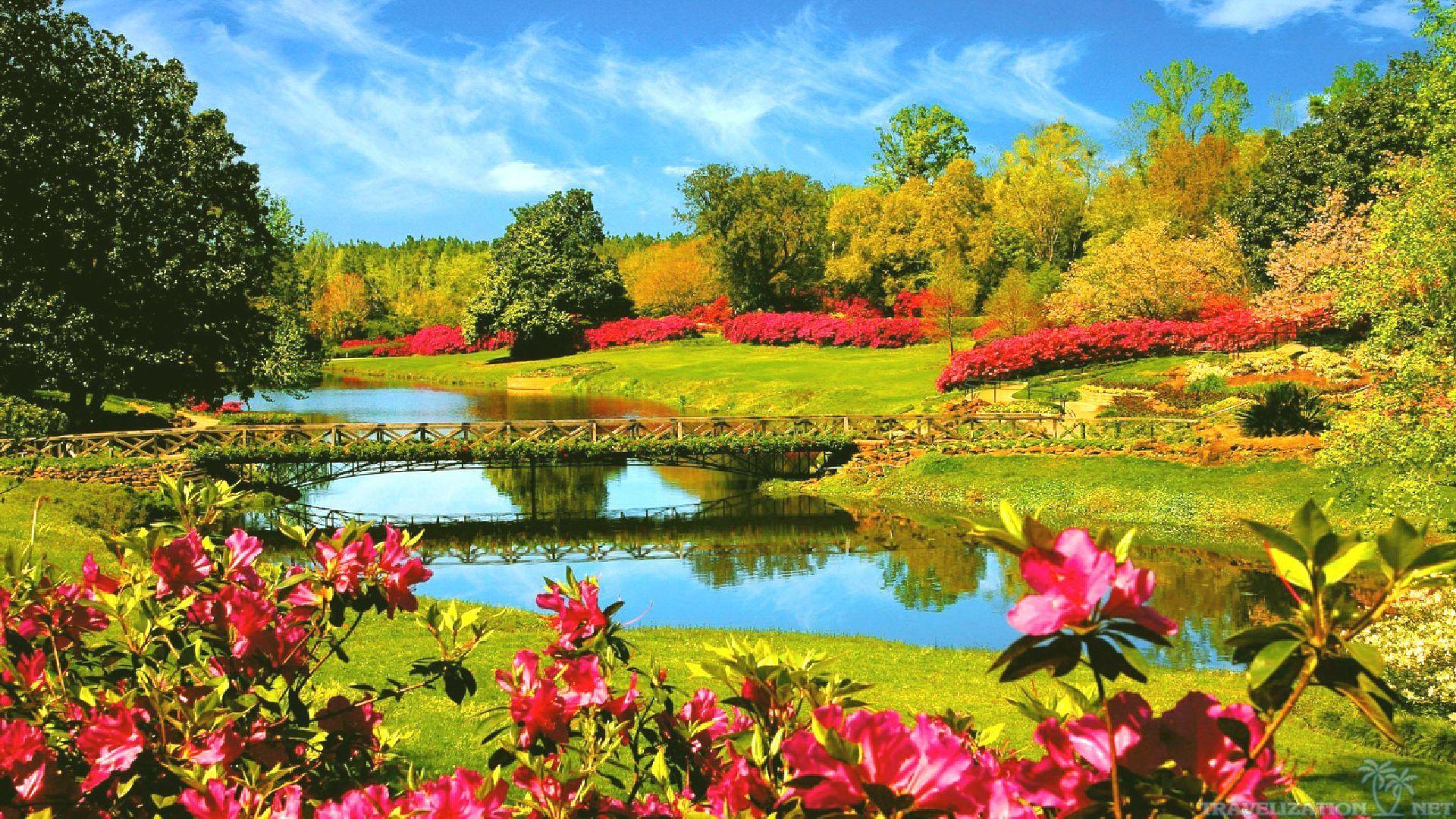 Naturopathic Wallpapers - Wallpaper Cave