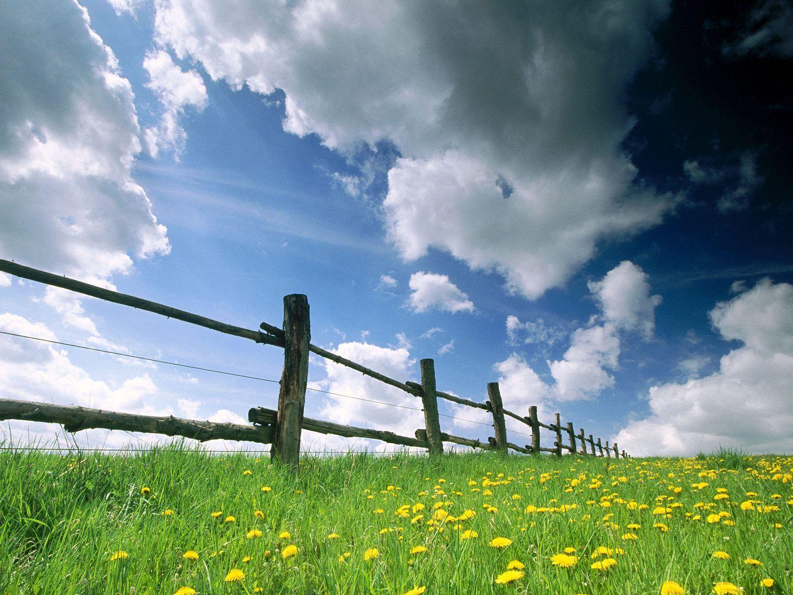 Naturopathic Wallpapers - Wallpaper Cave