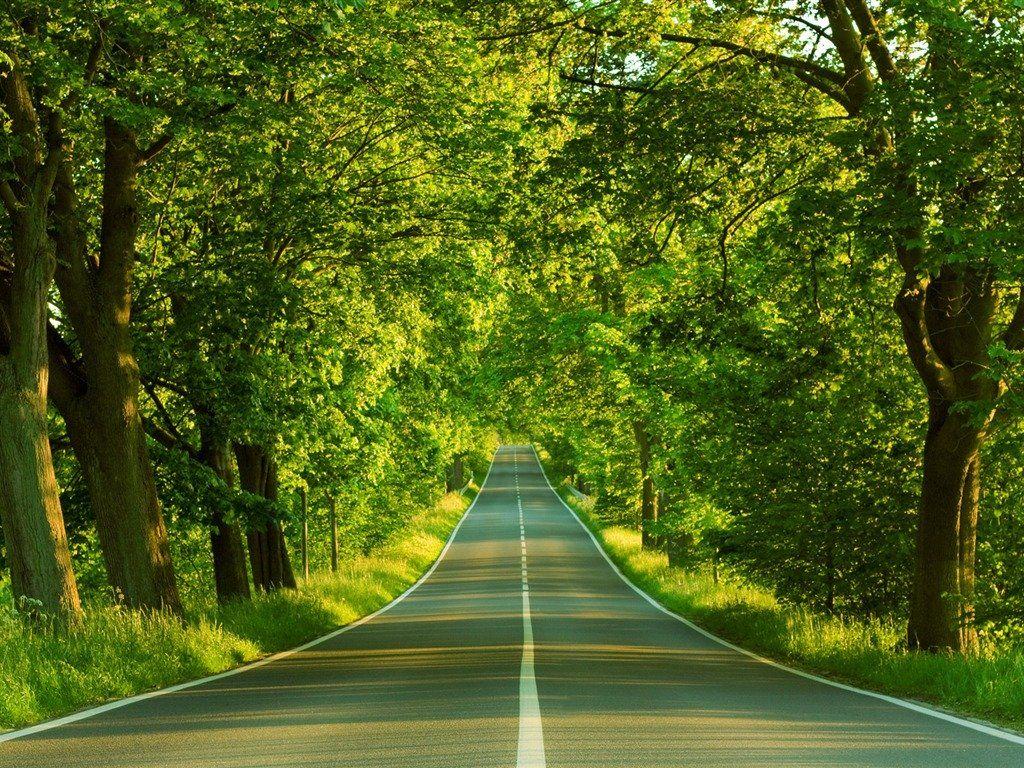Naturopathic Wallpapers - Wallpaper Cave