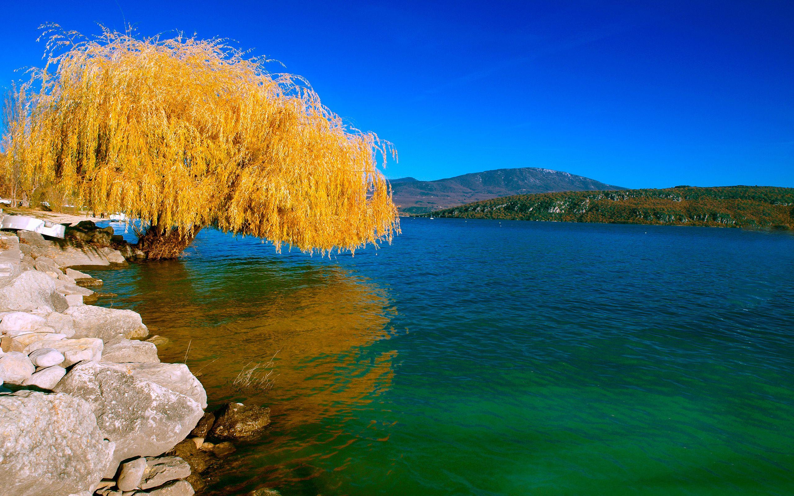 Naturopathic Wallpapers - Wallpaper Cave