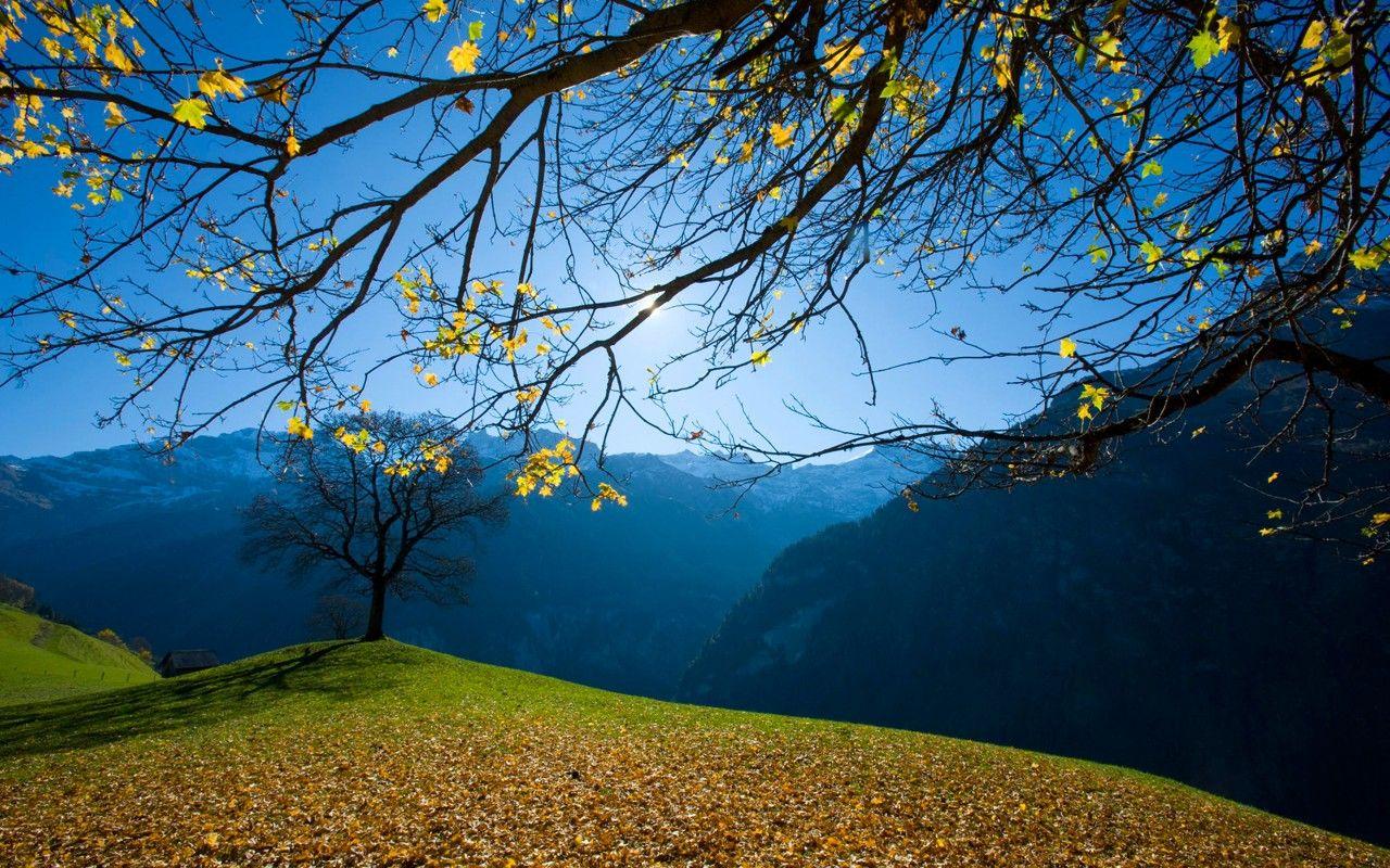Naturopathic Wallpapers - Wallpaper Cave