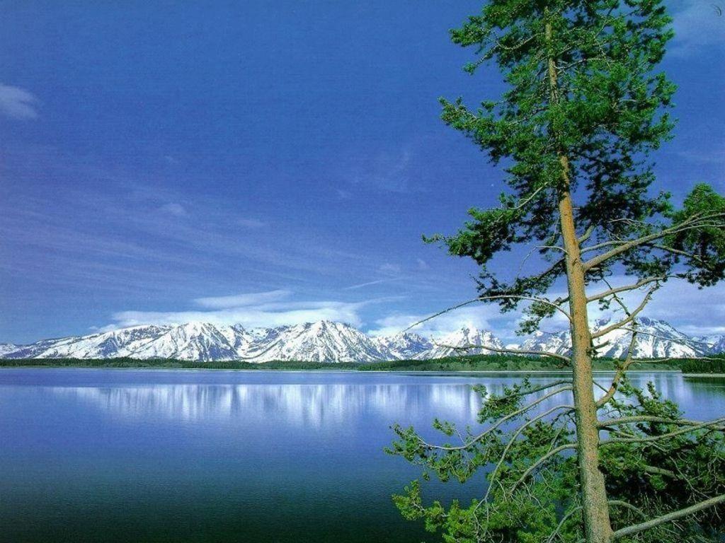 Naturopathic Wallpapers - Wallpaper Cave