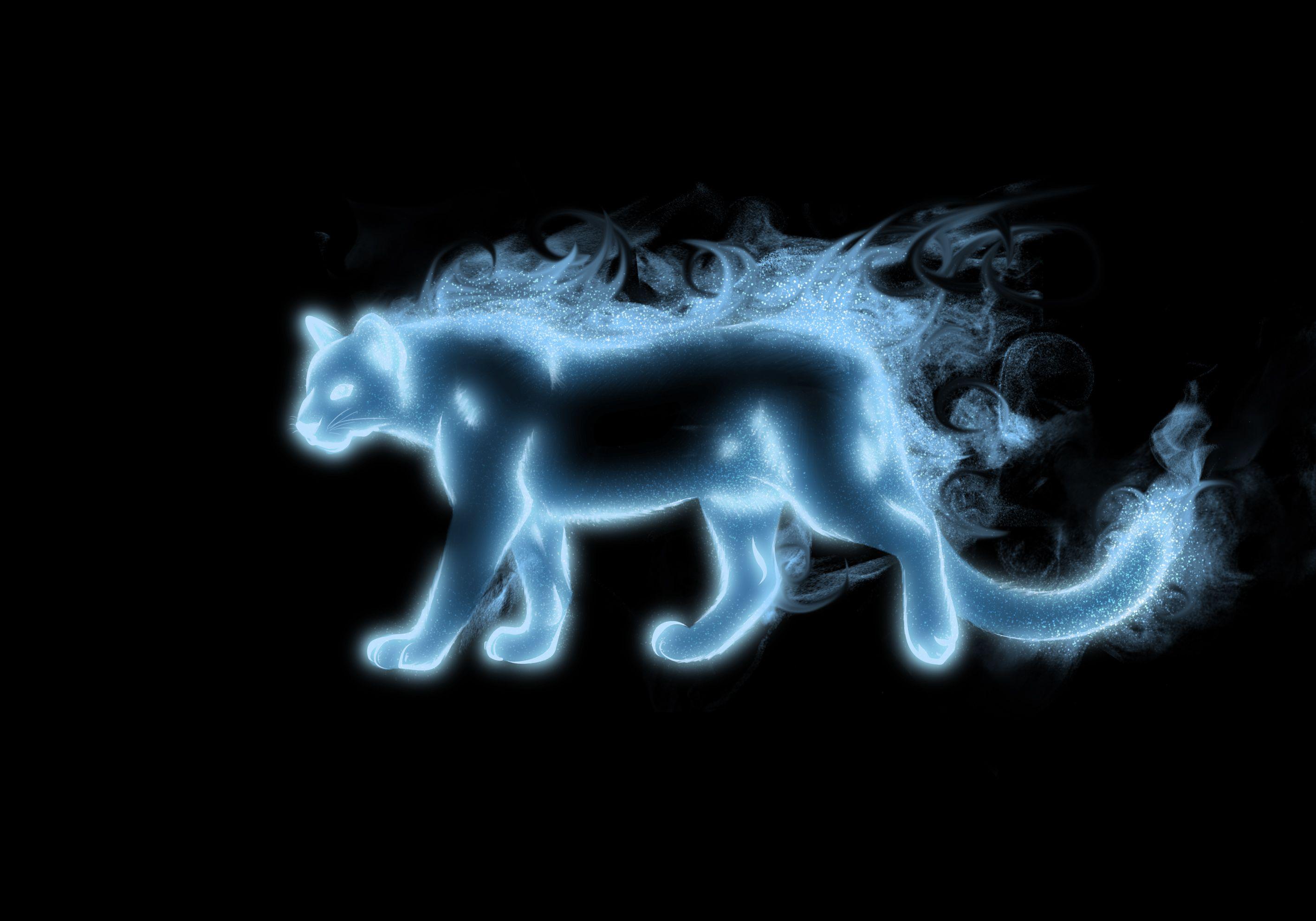 Patronus Wallpapers - Wallpaper Cave