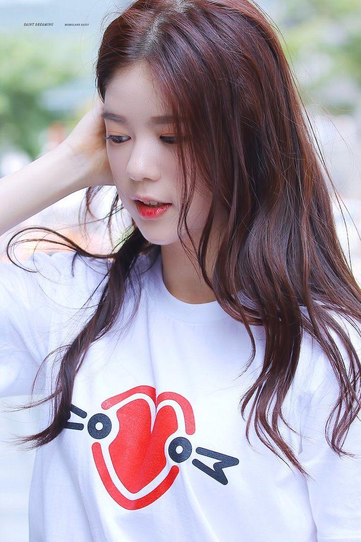 Daisy Momoland Wallpapers - Wallpaper Cave