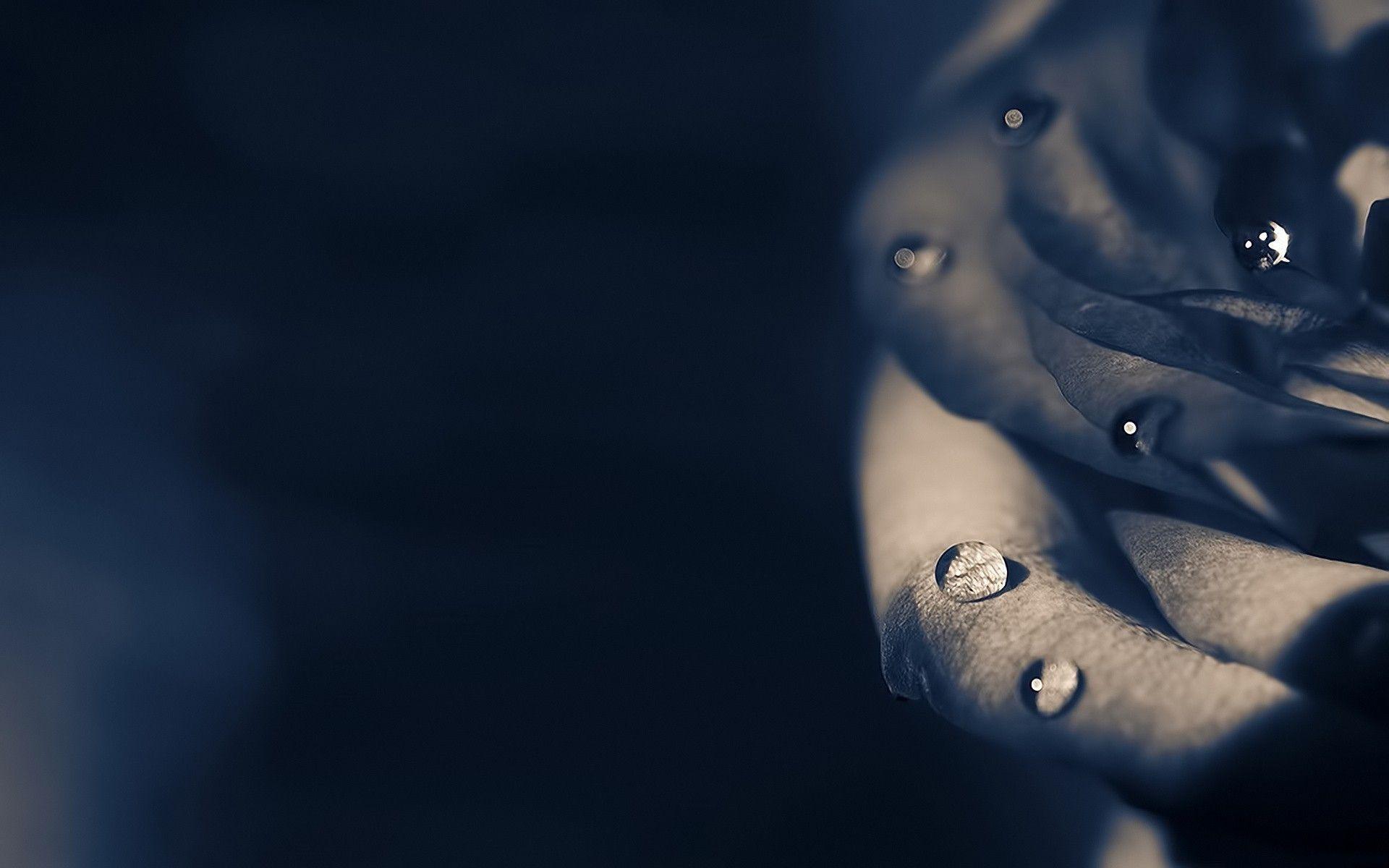 Body Piercing Wallpapers - Wallpaper Cave